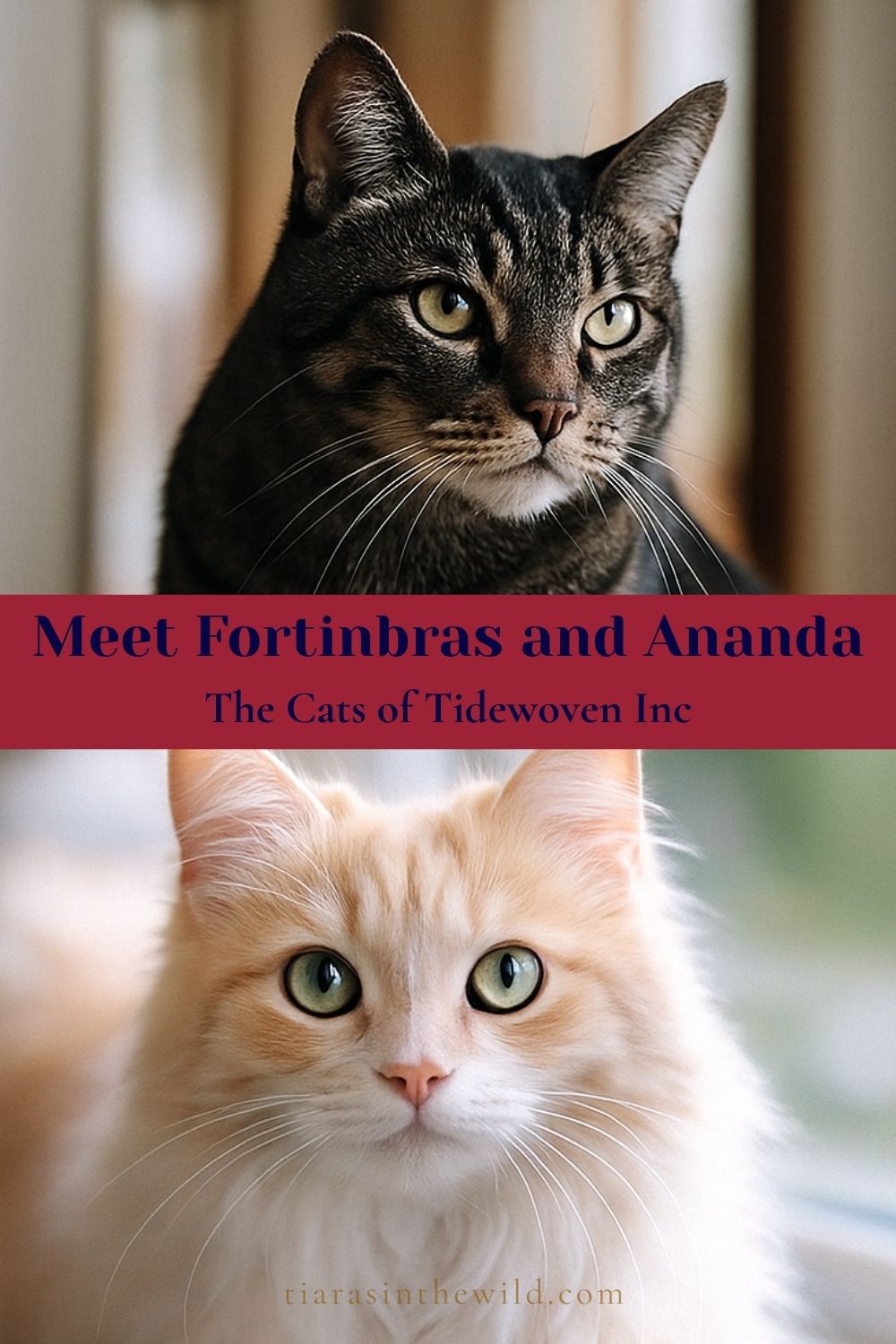 Tidewoven Inc | Meet Fortinbras and Ananda, the Cats of the Reyes House ...